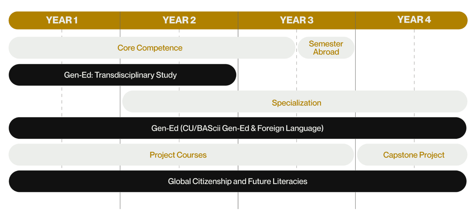 Program Structure - Chulalongkorn School of Integrated Innovation